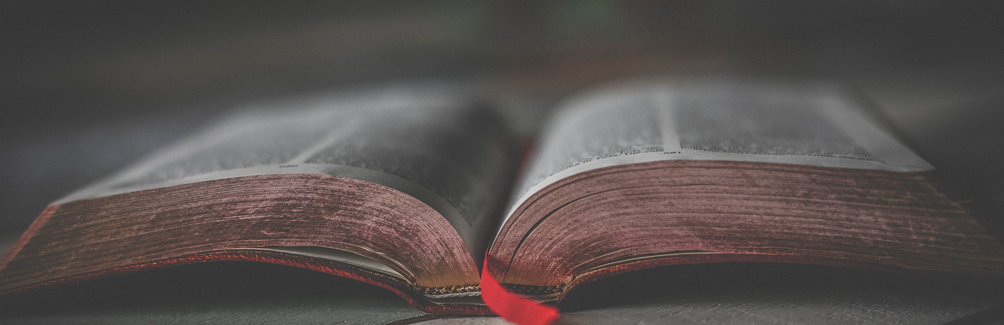 Daily Devotional-October 3rd - Devotionals