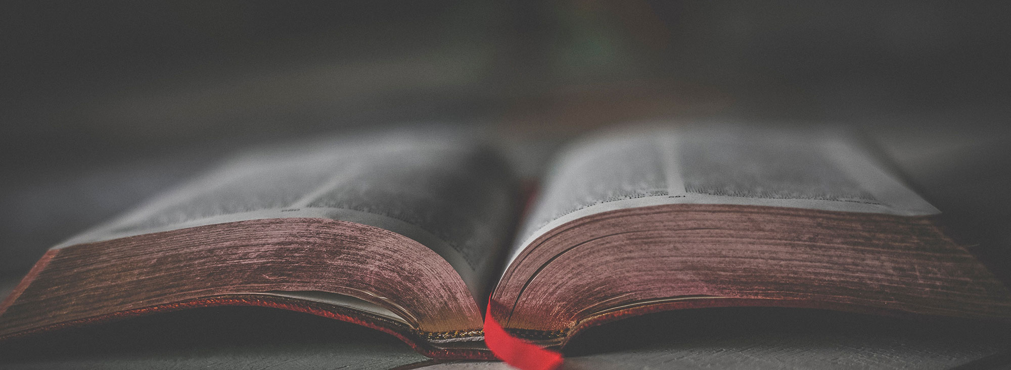 Luke Chapter 2 - Devotionals